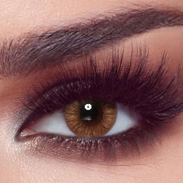 Bella One Day- Hazel Honey Order Online with Fast Delivery in Dubai ...